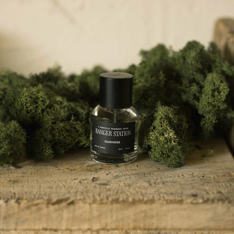 Clay vs Paste vs Pomade: The Complete Hair Product Guide – Henkey's